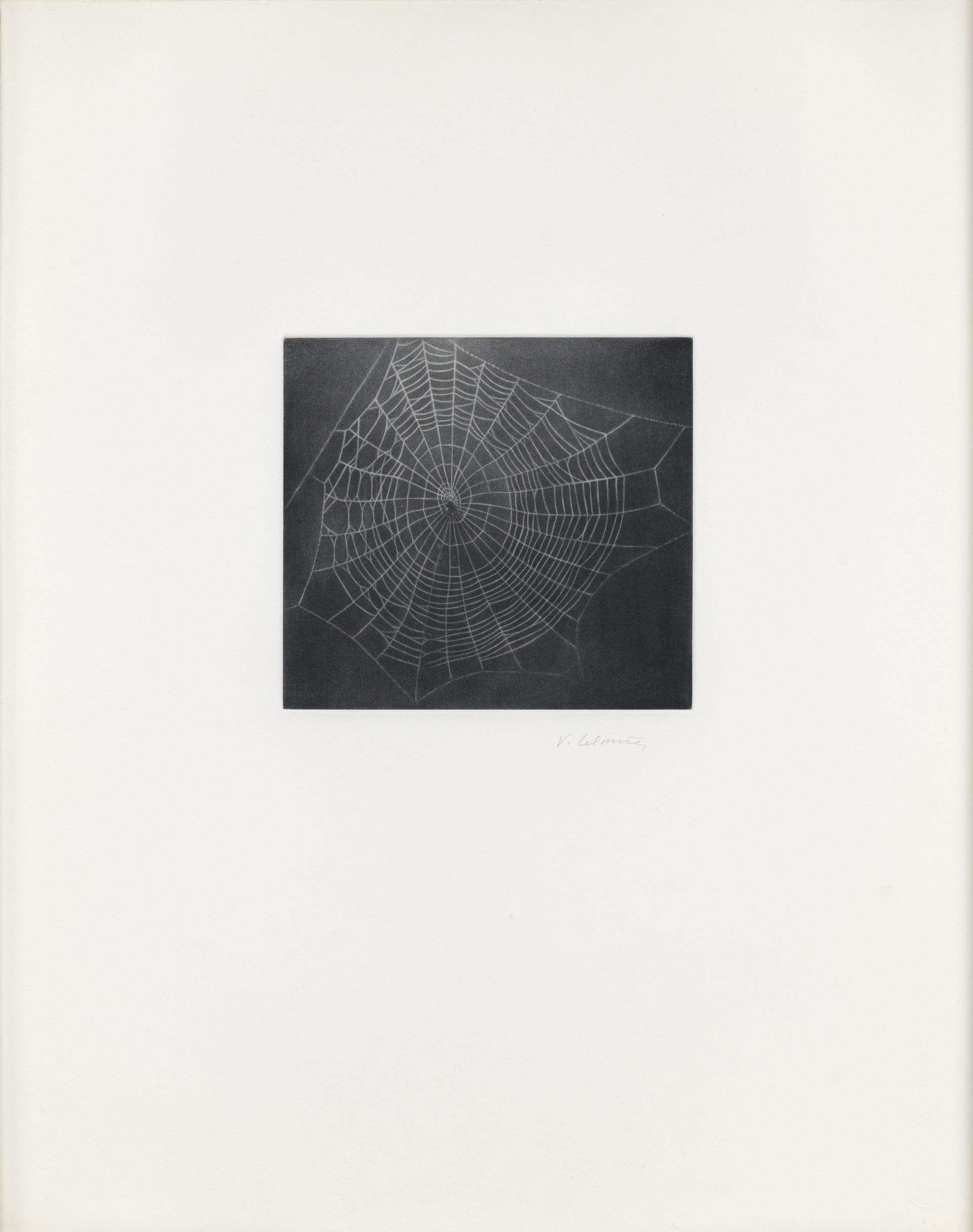 Vija Celmins Prints for Sale | Susan Sheehan Gallery