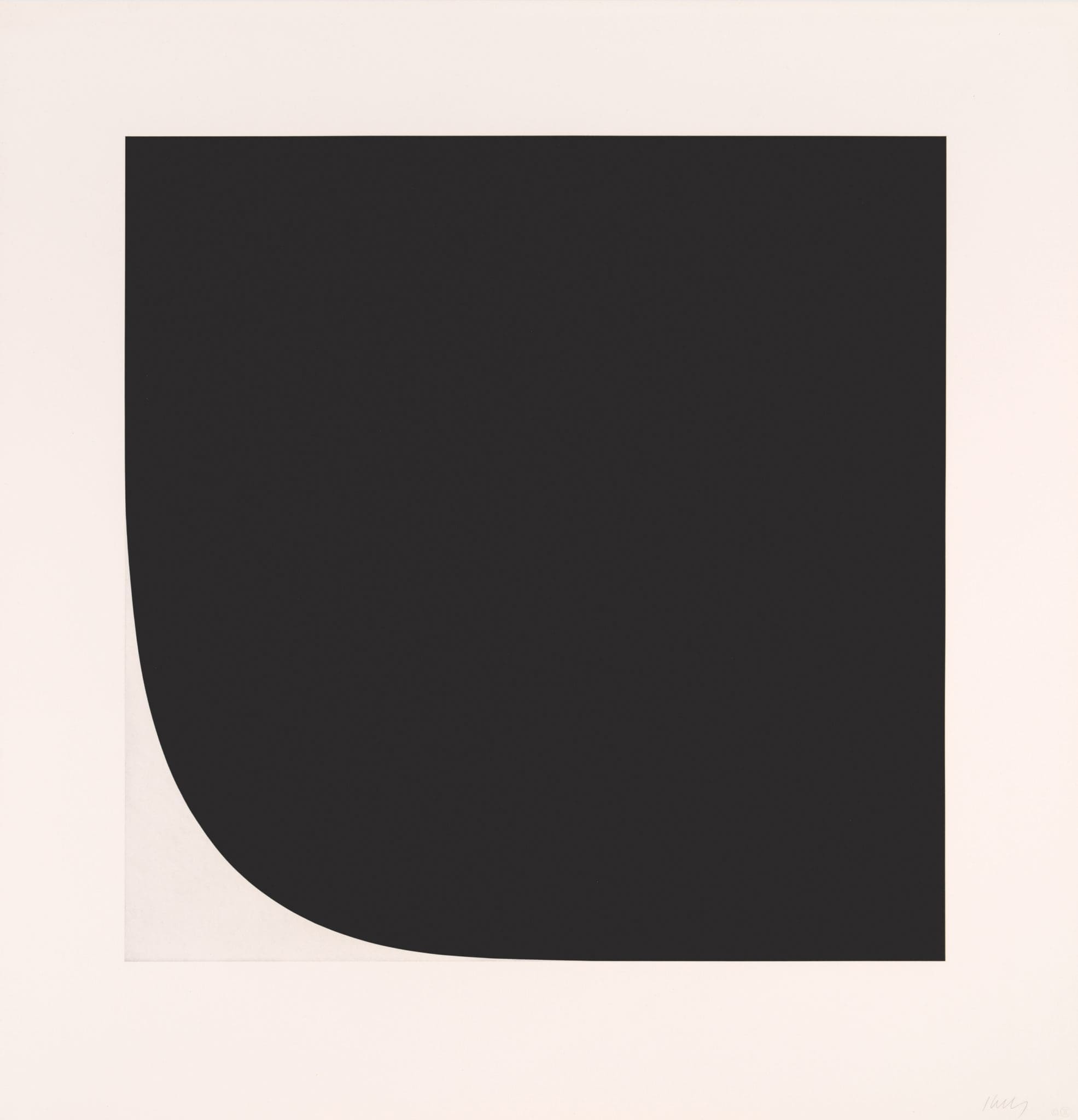 Ellsworth Kelly Prints for Sale | Susan Sheehan Gallery